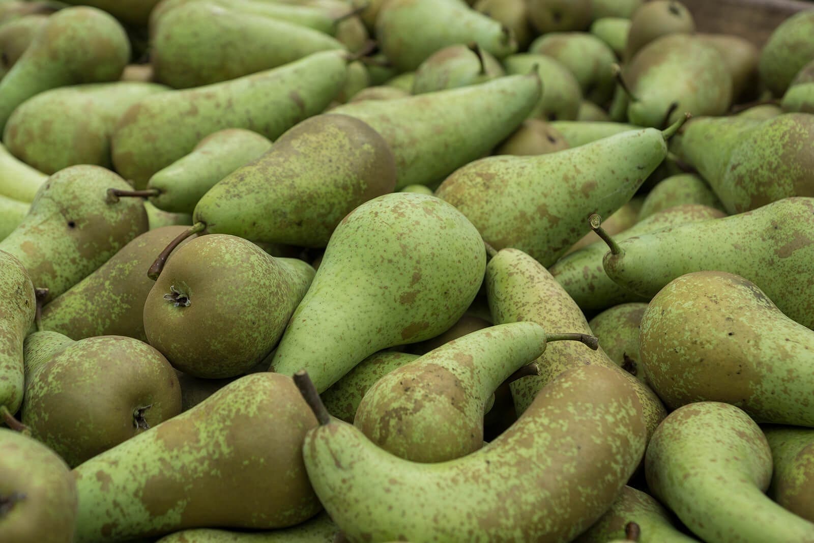 ‘We make a nice pear’